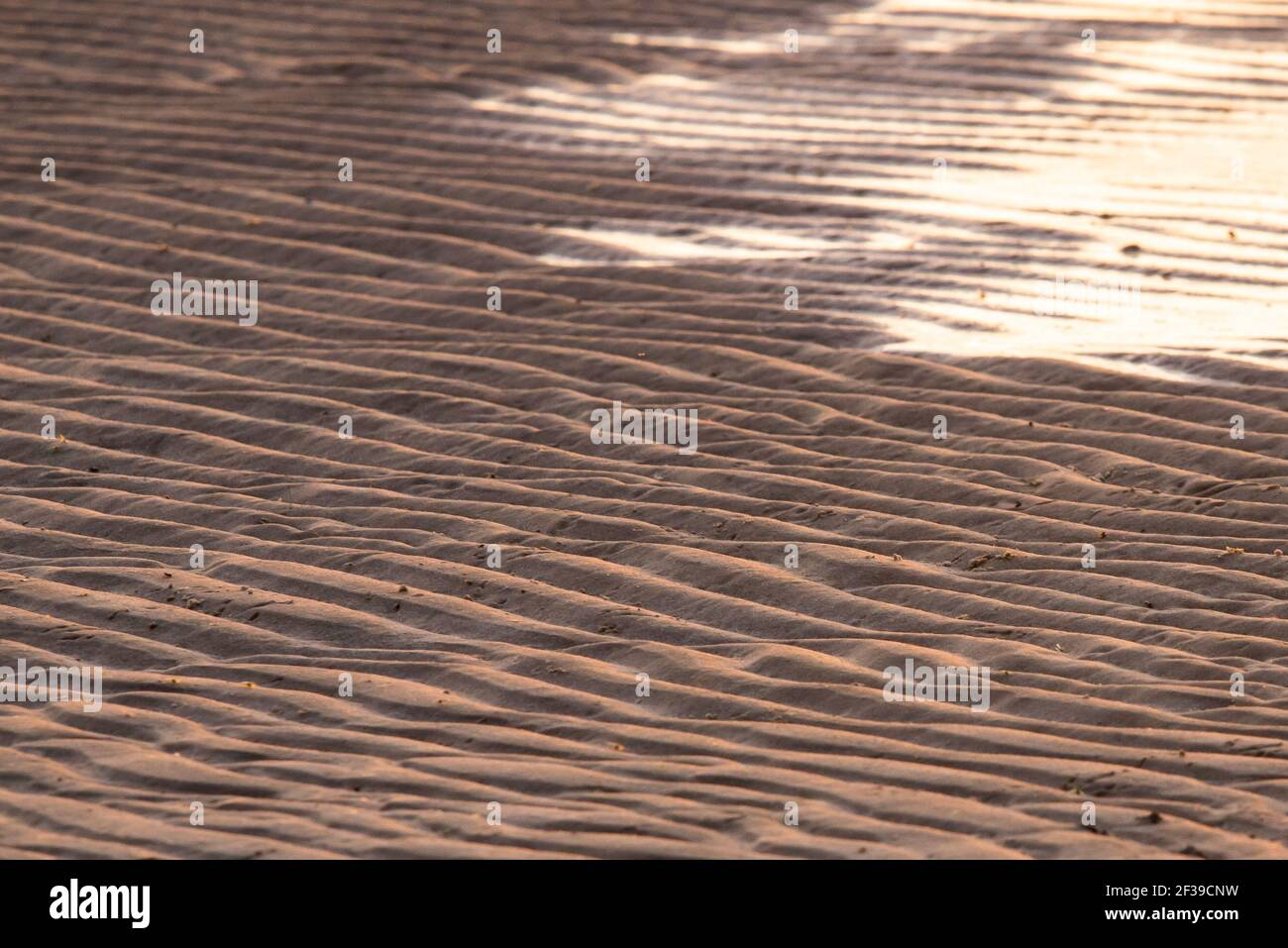 Beautiful wavy sand texture. Sand dunes, rippled sand formations ...