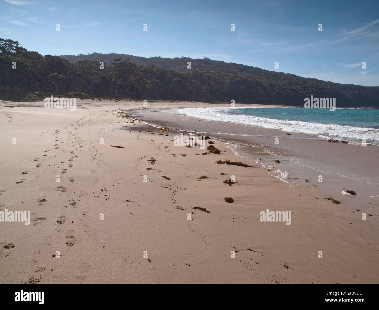 Murramarang national park depot beach hi-res stock photography and ...