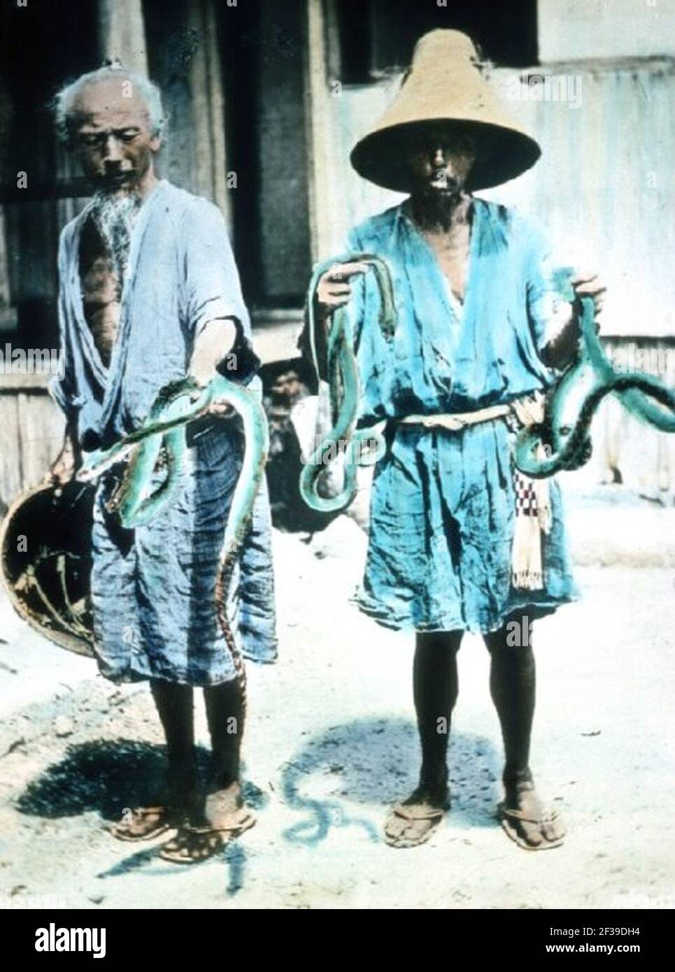 Snake catchers hi-res stock photography and images - Alamy