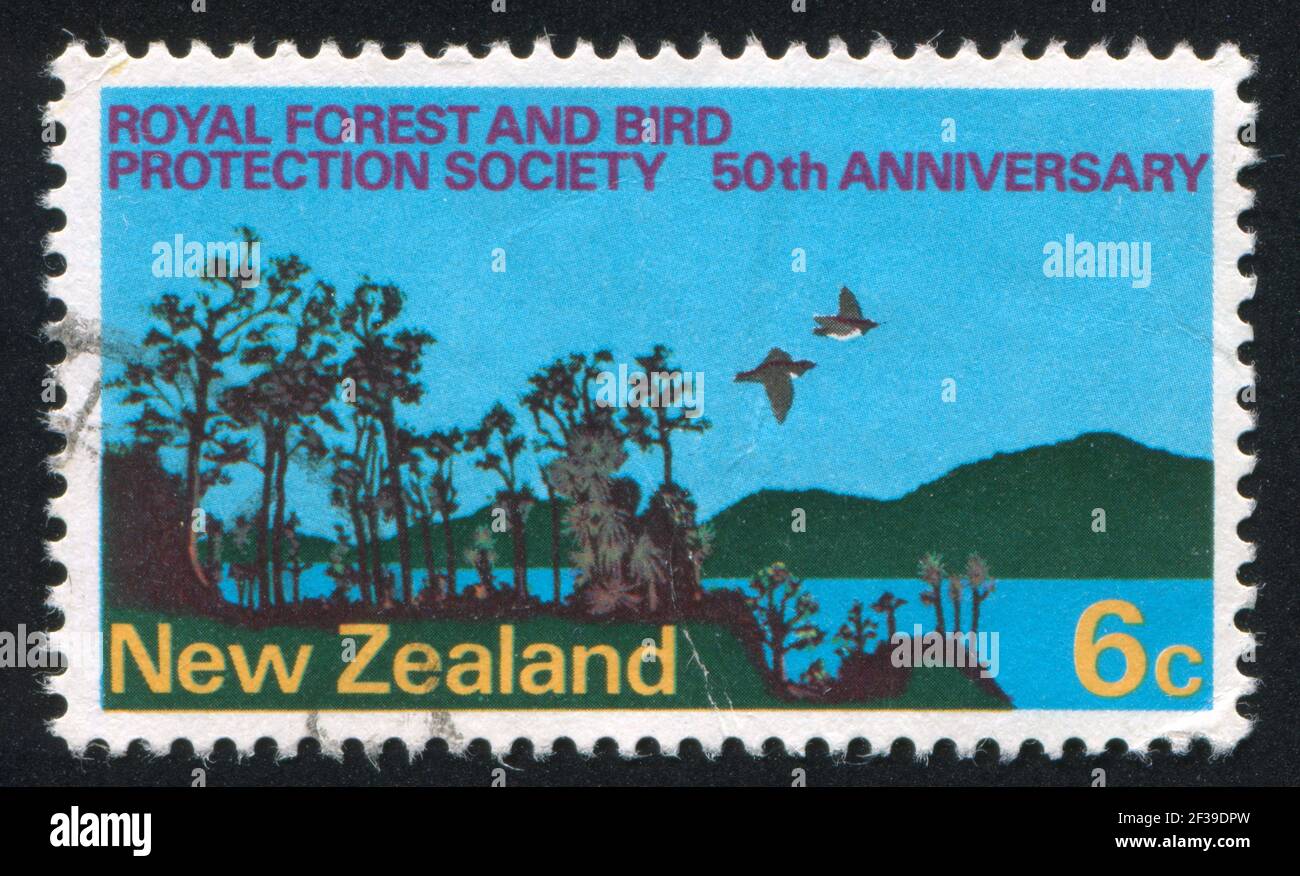 NEW ZEALAND - CIRCA 1973: stamp printed by New Zealand, shows Forest ...