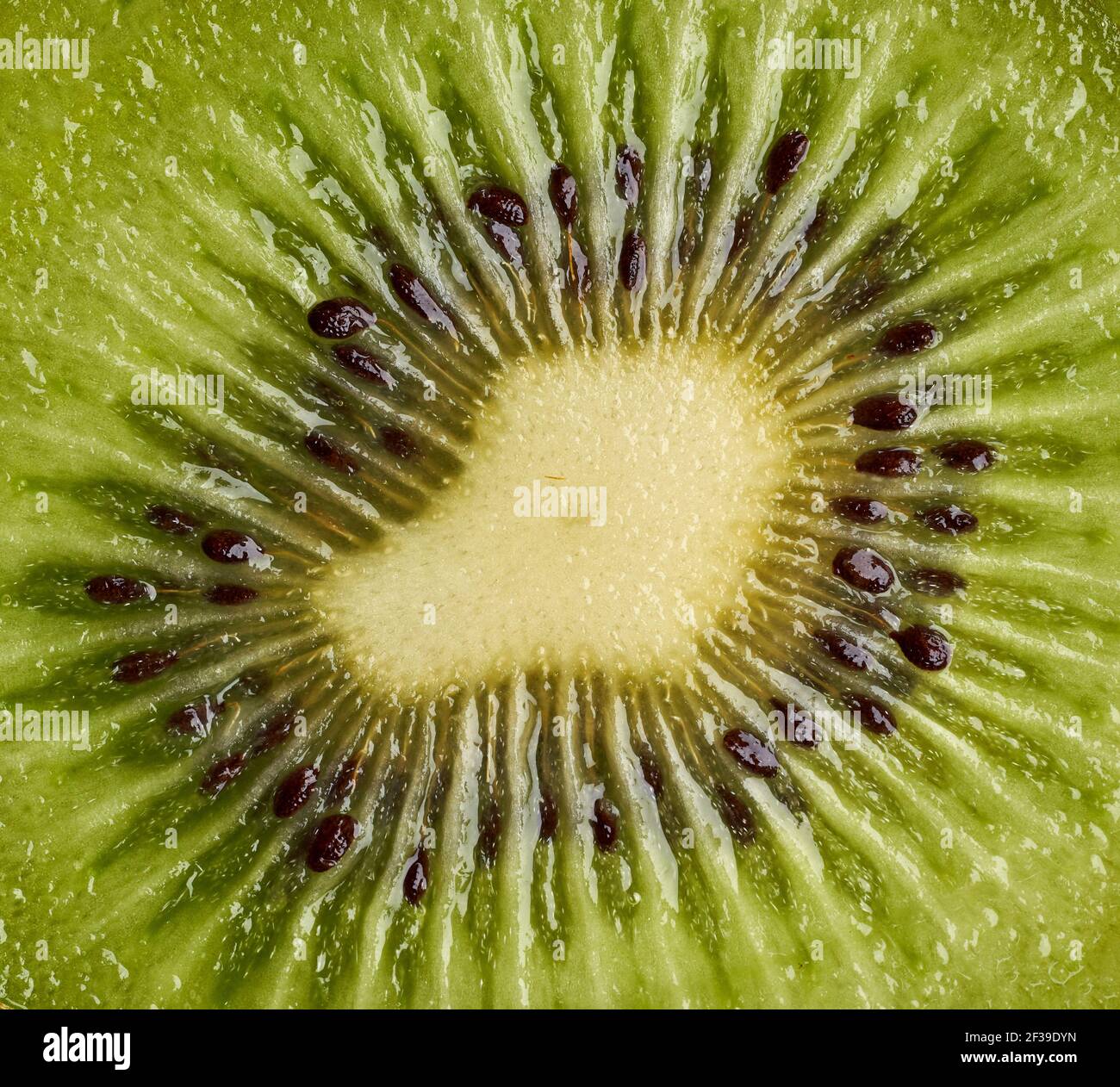 Extreme macro of a kiwi fruit, only seeds and pulp visible in high ...