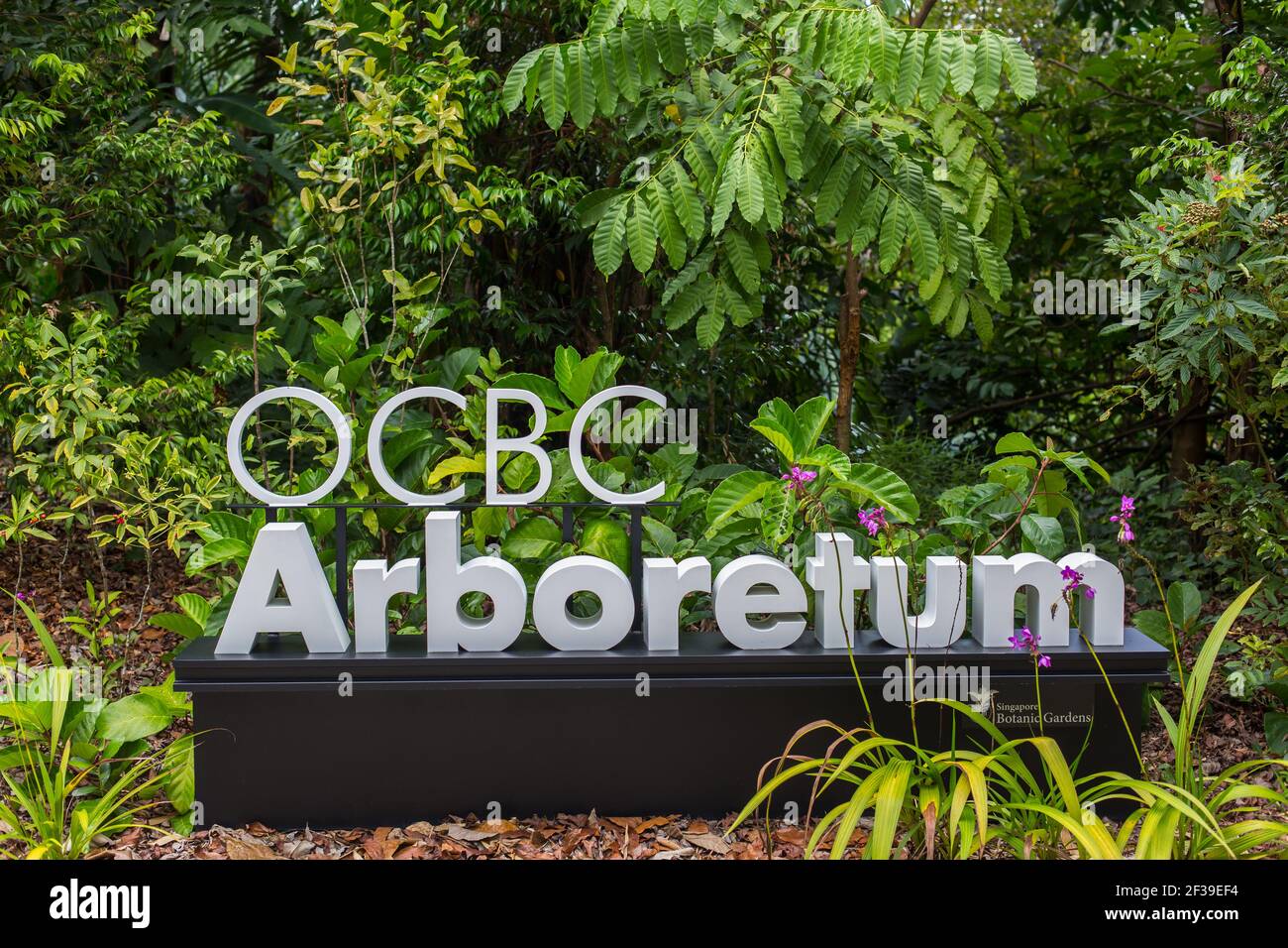 OCBC Arboretum signage at Singapore Botanic Gardens Stock Photo - Alamy