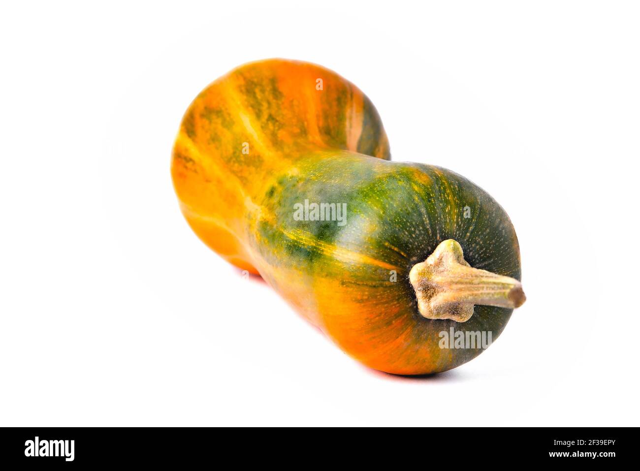 Neapolitan long squash hi-res stock photography and images - Alamy