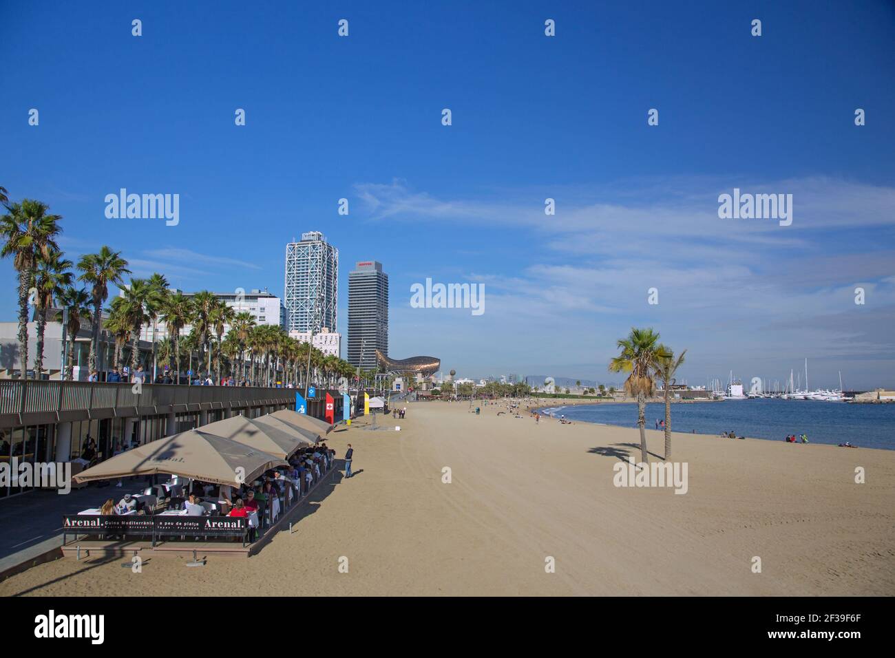 Hotel arts barcelona fish sculpture hi-res stock photography and images ...