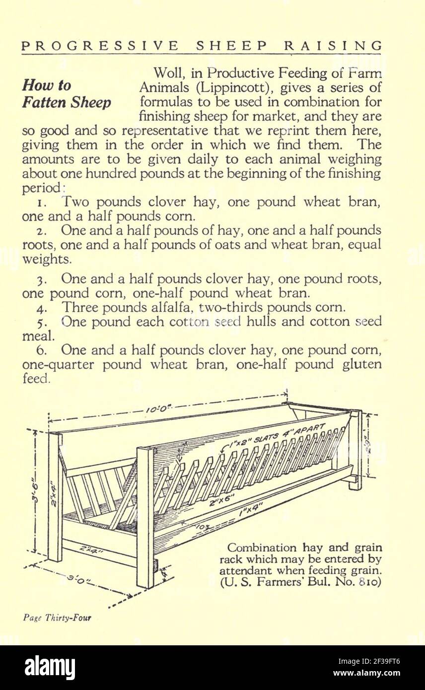 Progressive sheep raising (Page 34 Stock Photo - Alamy