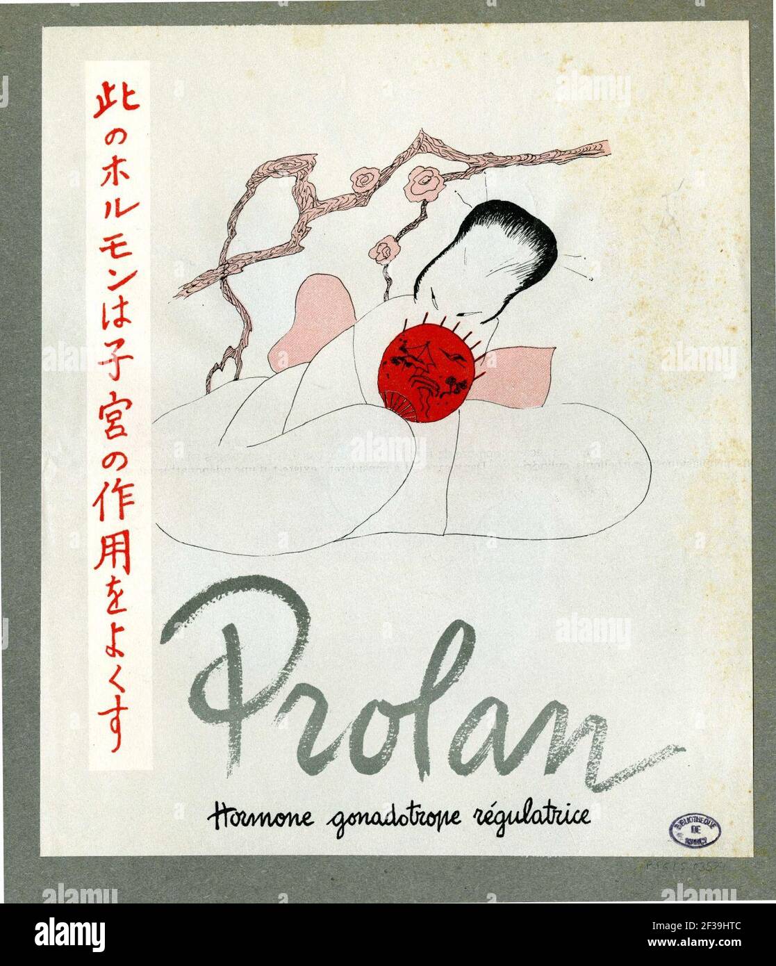 Prolan hi-res stock photography and images - Alamy