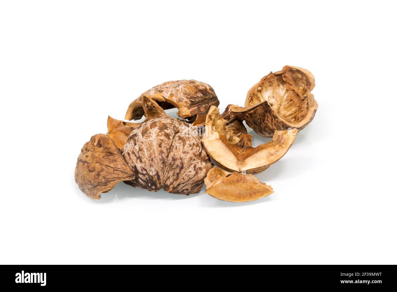 Few cracked Walnut shells isolated on white background Stock Photo - Alamy