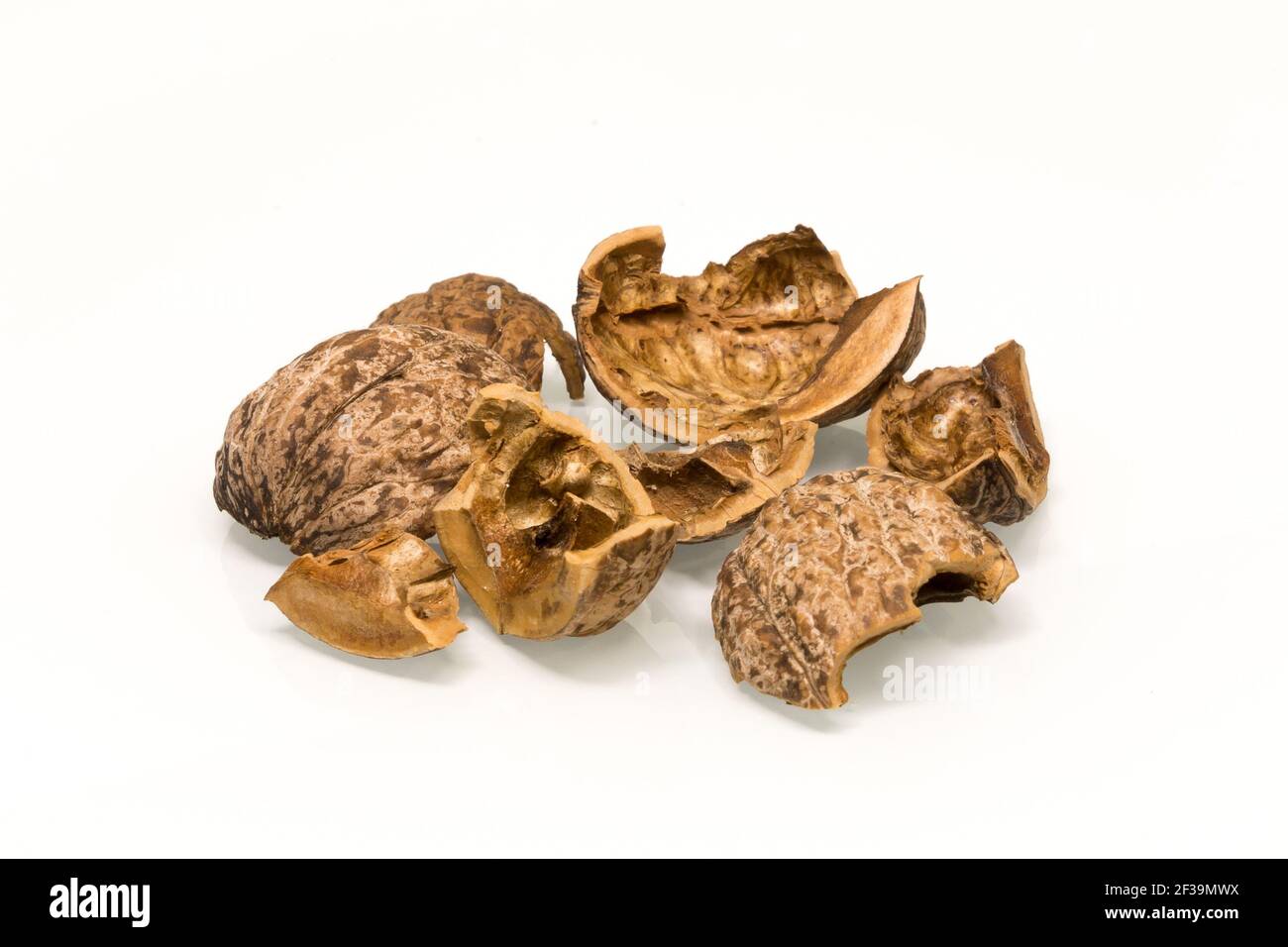 Broken Walnut shells isolated on white background Stock Photo - Alamy