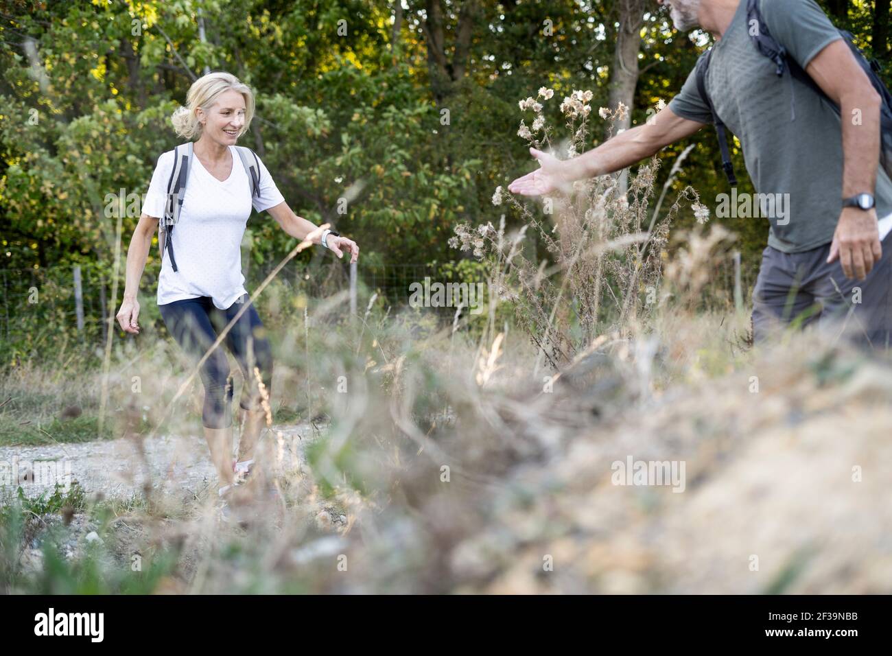 Man giving helping hand to his wife during hiking in forest Stock Photo ...