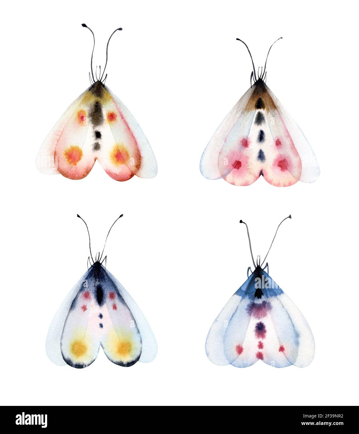 Watercolor moth set. Collection of colorful insects isolated on white ...
