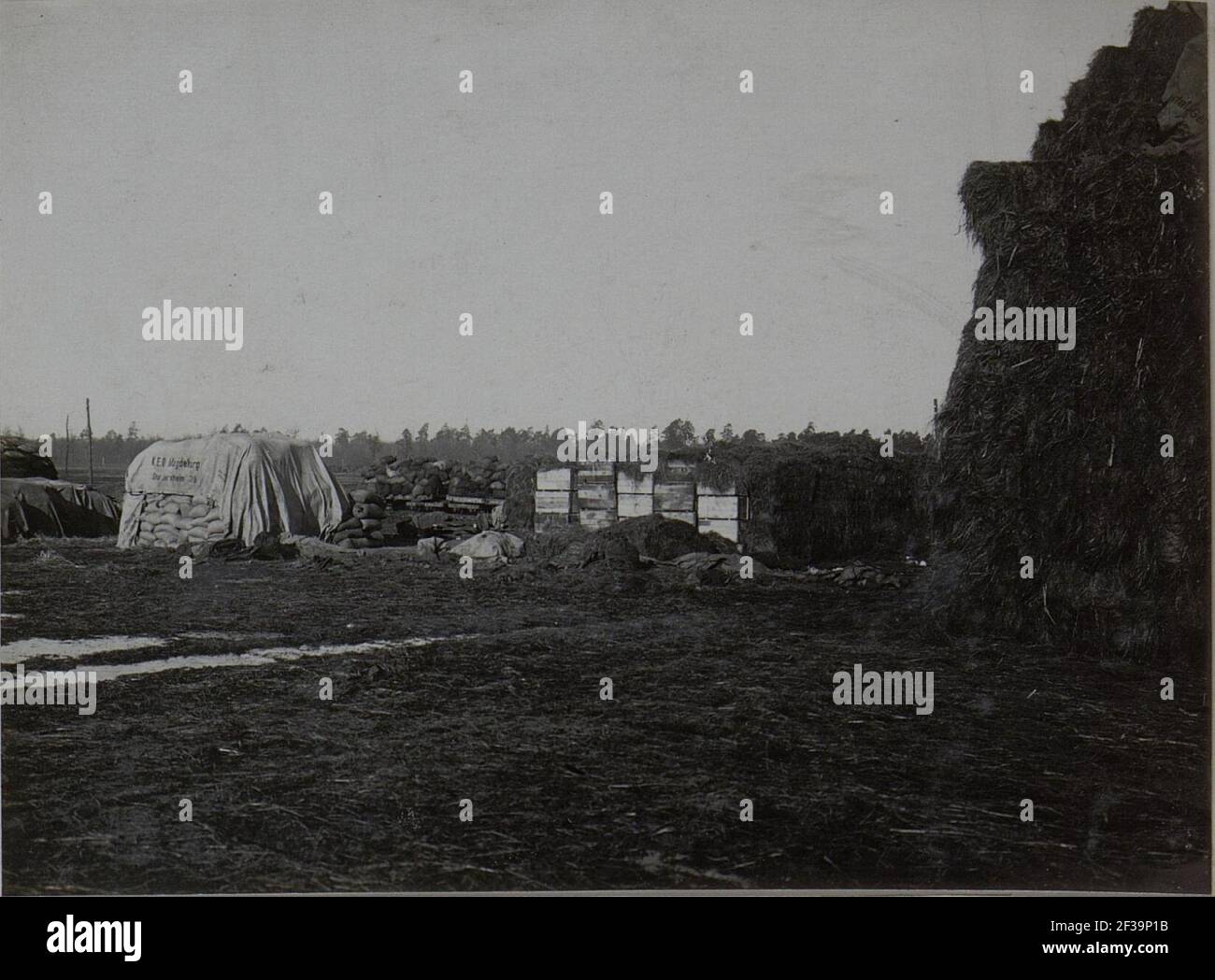 Rogozno hi-res stock photography and images - Alamy