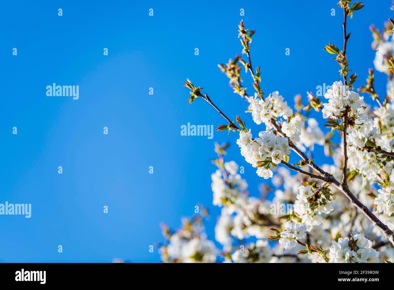 Spring. Explosion of life in the nature and in the ancient villages ...
