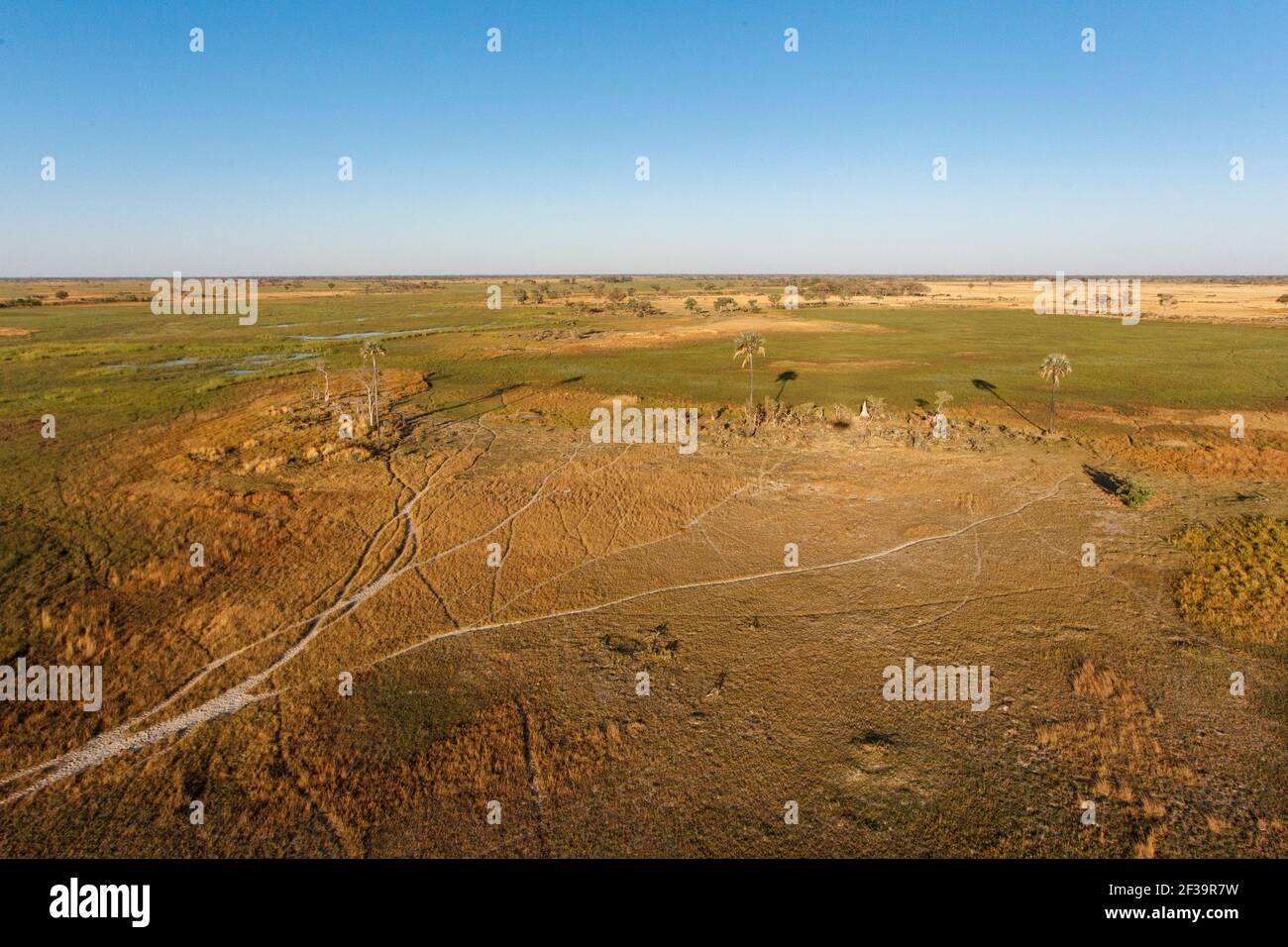 Okavanga Delta, Botswana, Africa Stock Photo - Alamy
