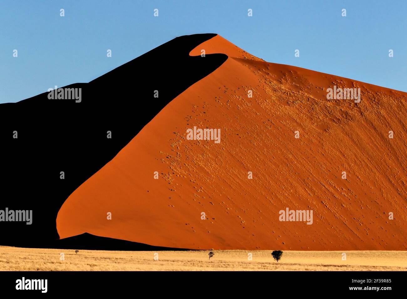 Red sand dune 45. Desert sunrise. Namibia landscape. Sossusvlei, Namib ...