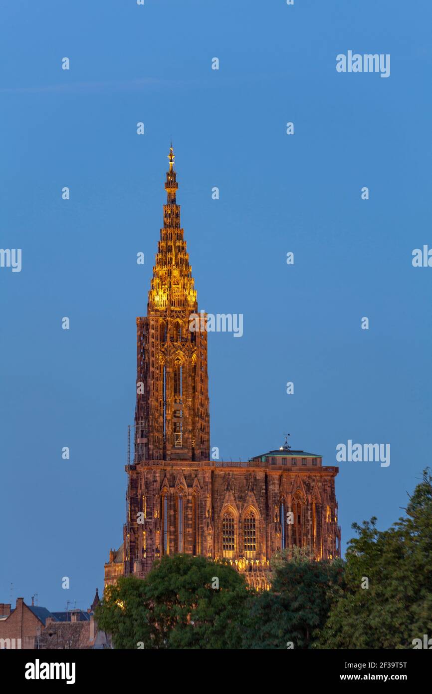 Strasbourg (67): Strasbourg Minster, a Catholic cathedral in Romanesque ...