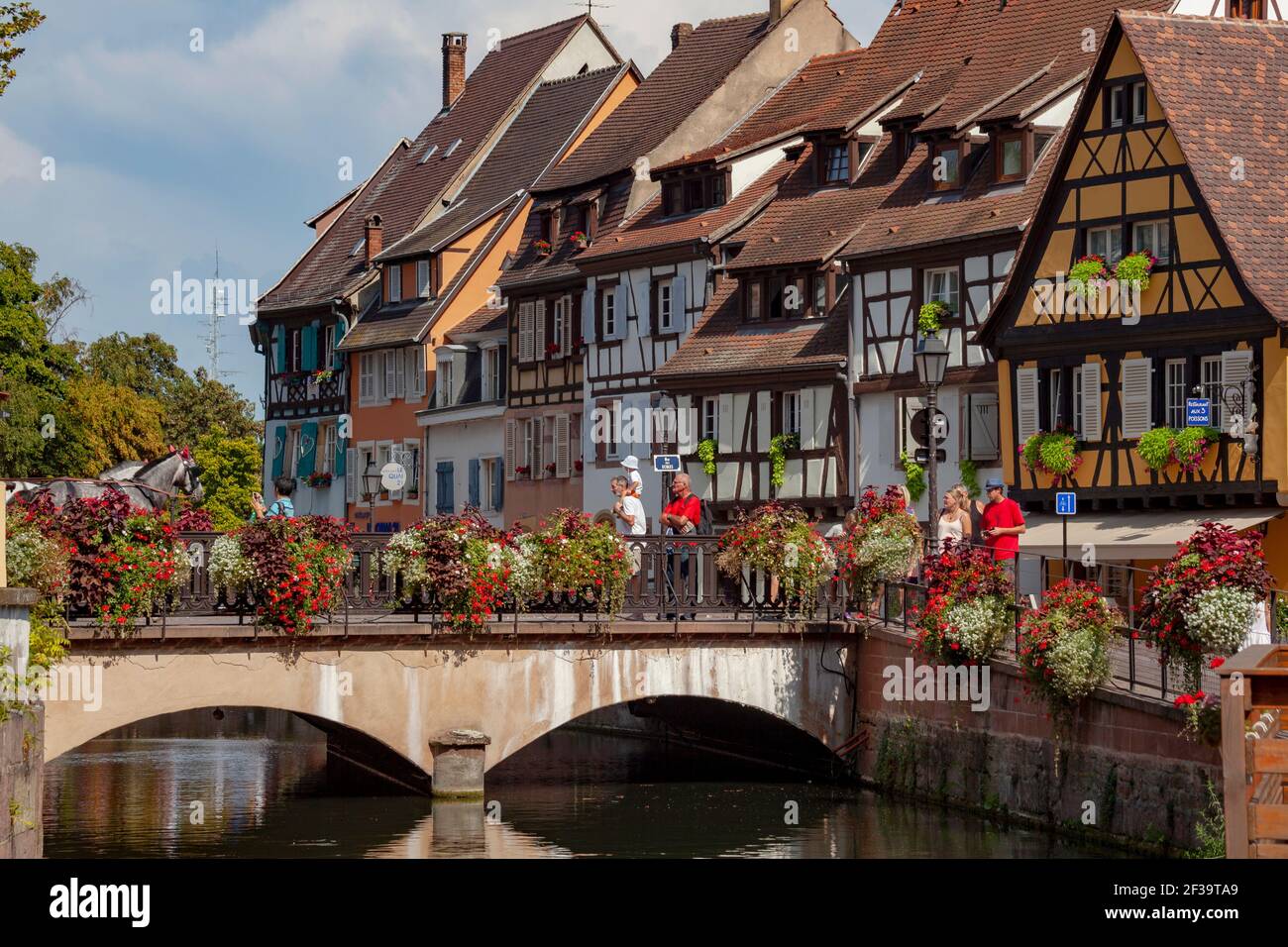 Colmar (north-eastern France): facades of half-timbered houses ...
