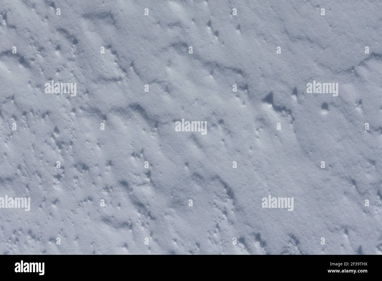 snowy texture. background for design. Winter. High quality photo Stock ...