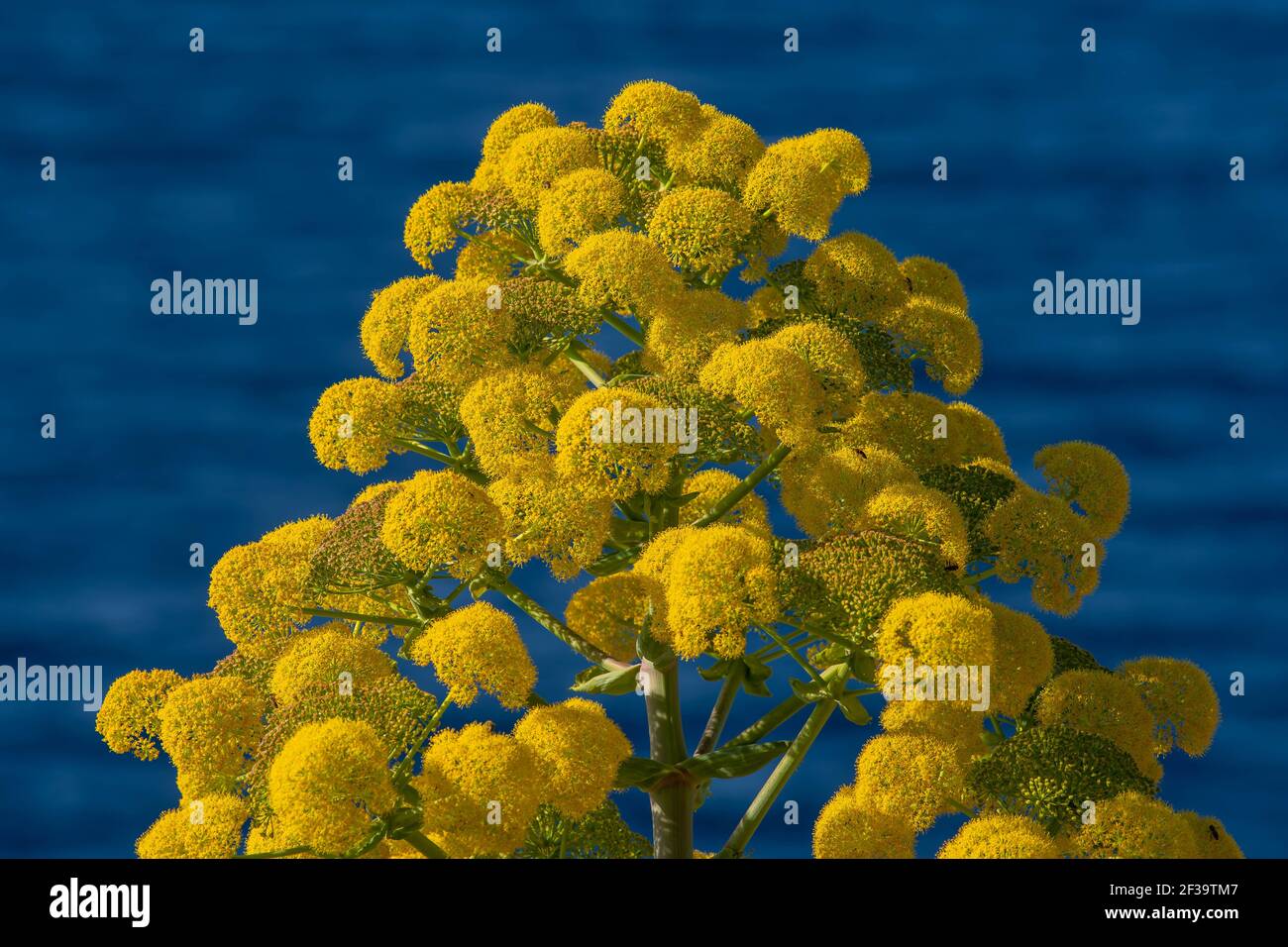 Legrena beach hi-res stock photography and images - Alamy