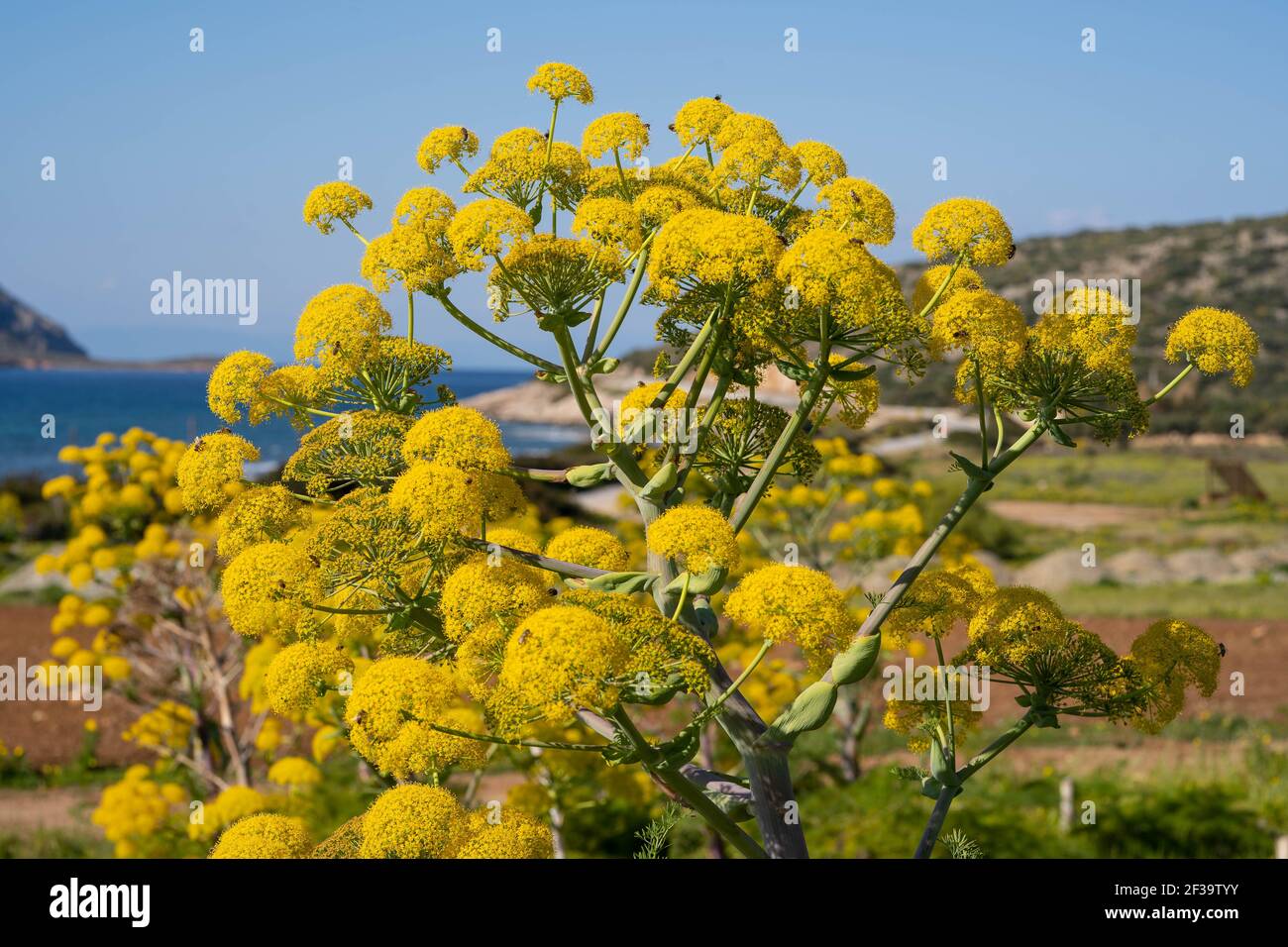 Legrena beach hi-res stock photography and images - Alamy