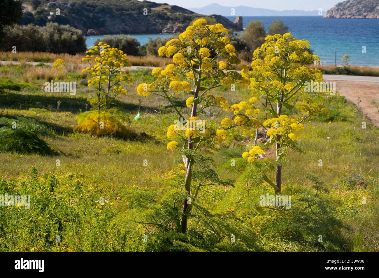 Legrena beach hi-res stock photography and images - Alamy