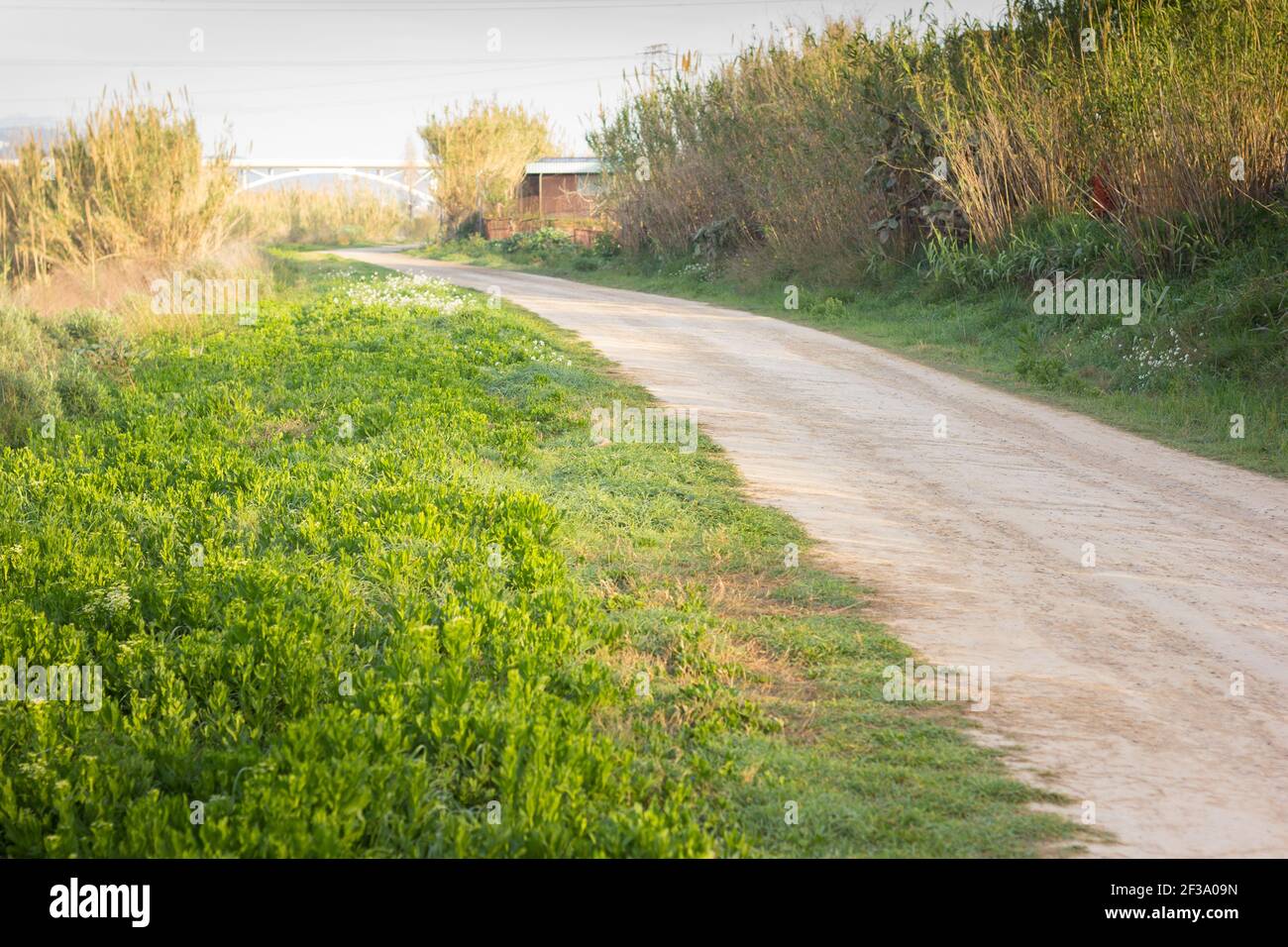 Walking path road curve people hi-res stock photography and images - Alamy