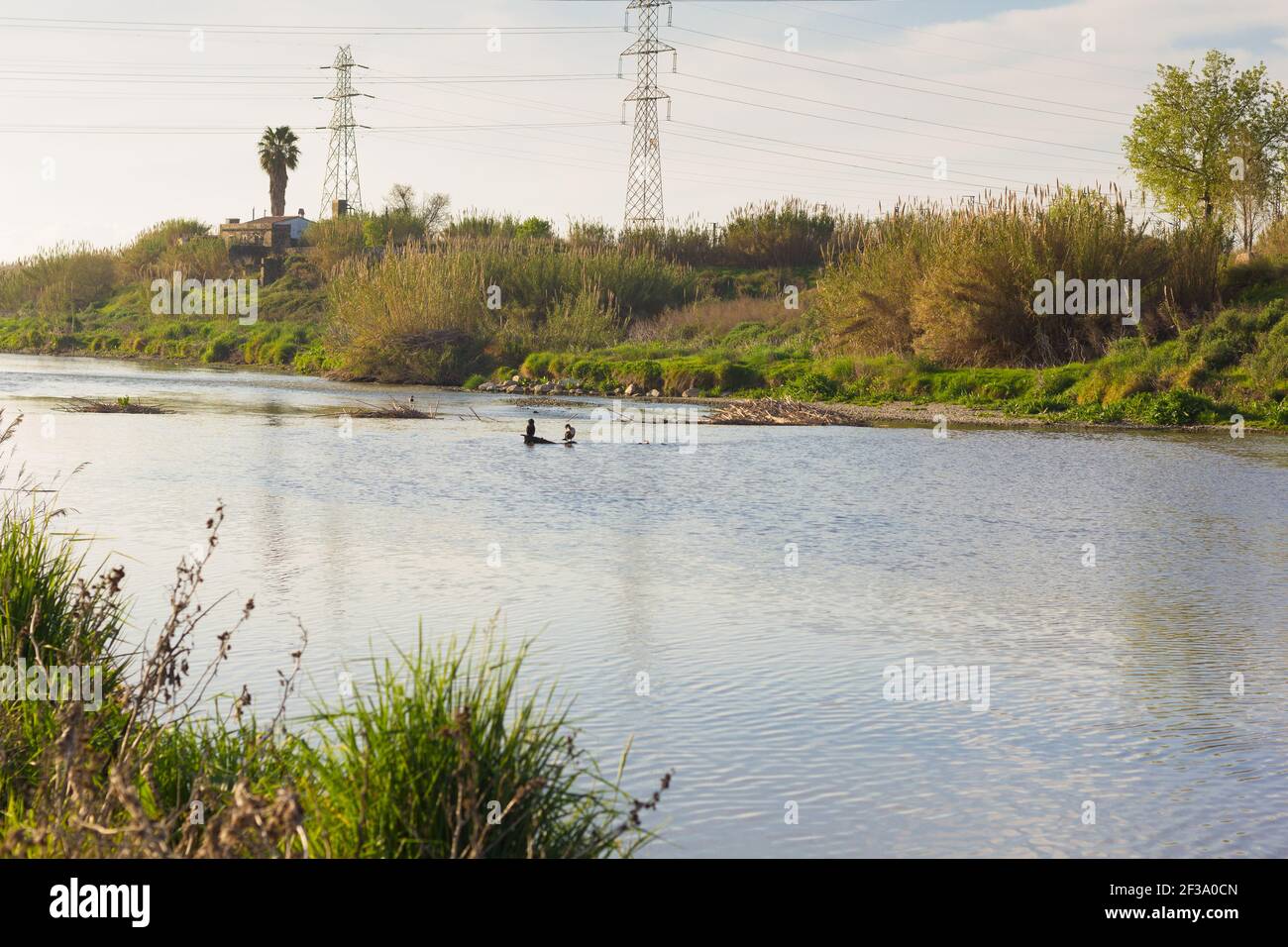 The Llobregat River as it passes through the Baix Llobregat region ...