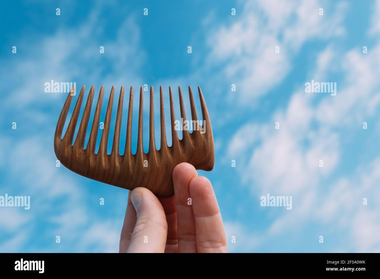 A hand holding natural wooden comb for scalp massage and aroma combing ...