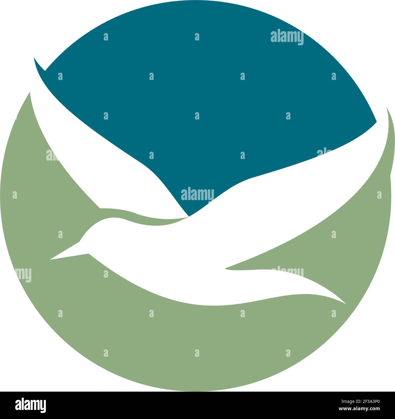 Seagull logo template vector icon illustration design Stock Vector ...