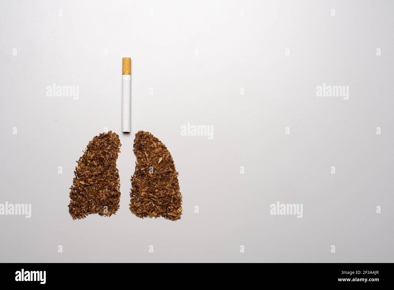 A cigarette and tobacco in lungs shape - No Smoking concept Stock Photo ...