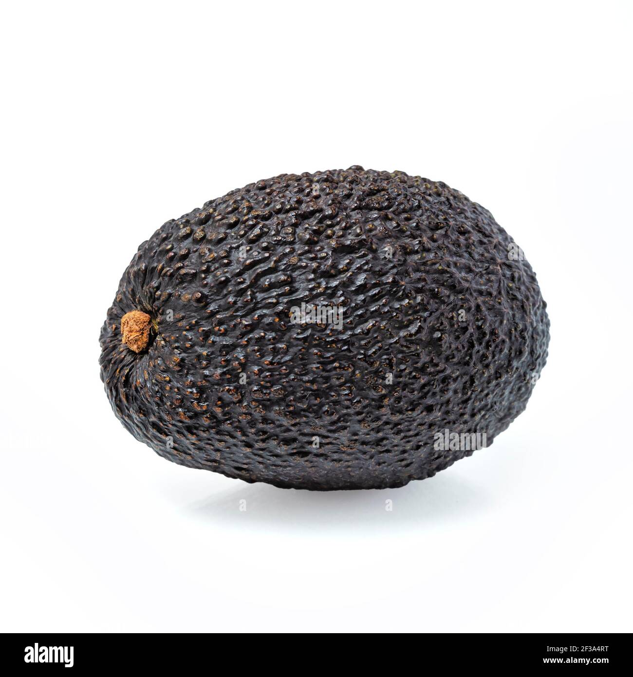 Cross section avocado fruit hi-res stock photography and images - Alamy