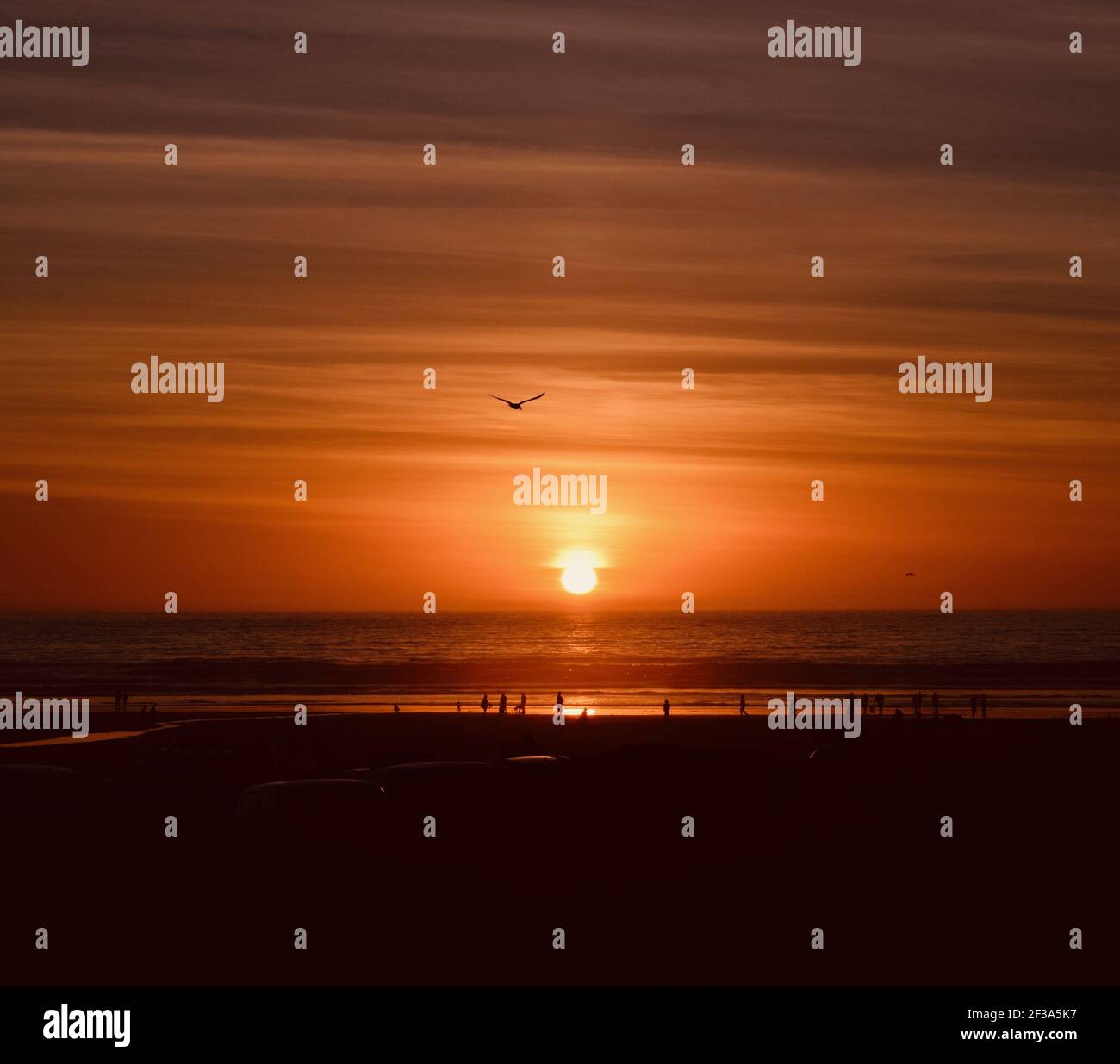 A beautiful sunset scenery of at a sandy beach - great as background or ...