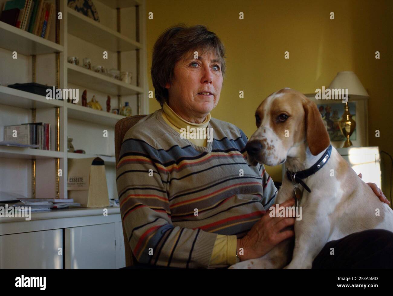 ELEANOR GOODMAN AT HER HOME IN WILTSHIRE.19/12/05 TOM PILSTON Stock ...