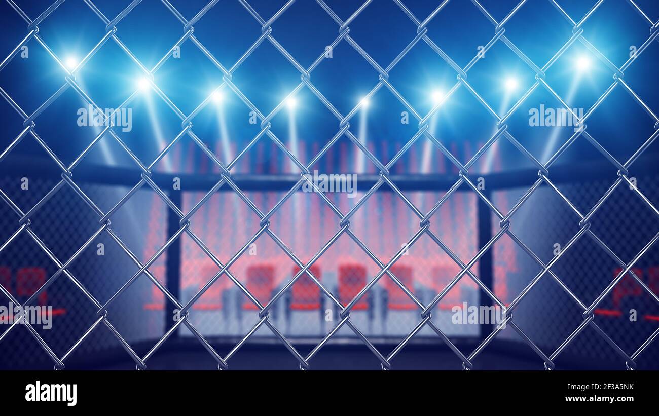 Empty mma cage lit by spotlights. MMA octagon interior Stock Photo - Alamy