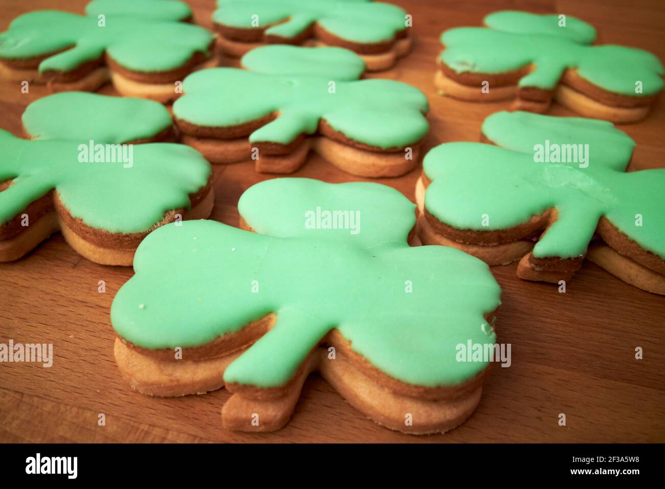 shamrock shaped biscuits produced to celebrate st patricks day in ...