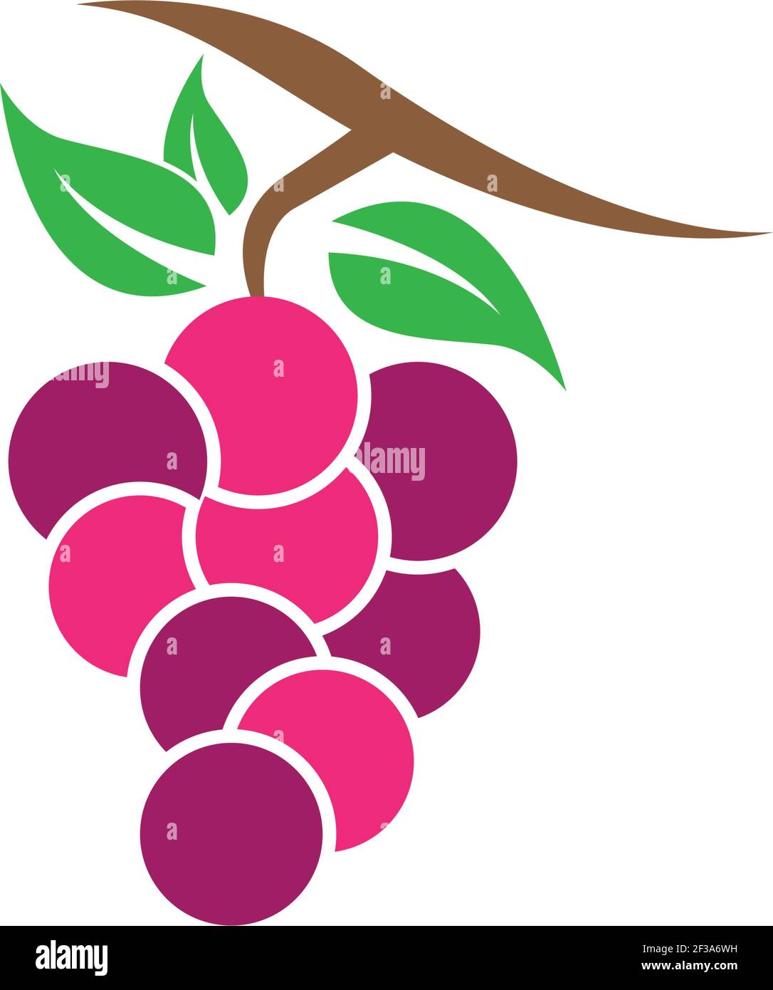 Vitis vector vectors hi-res stock photography and images - Alamy