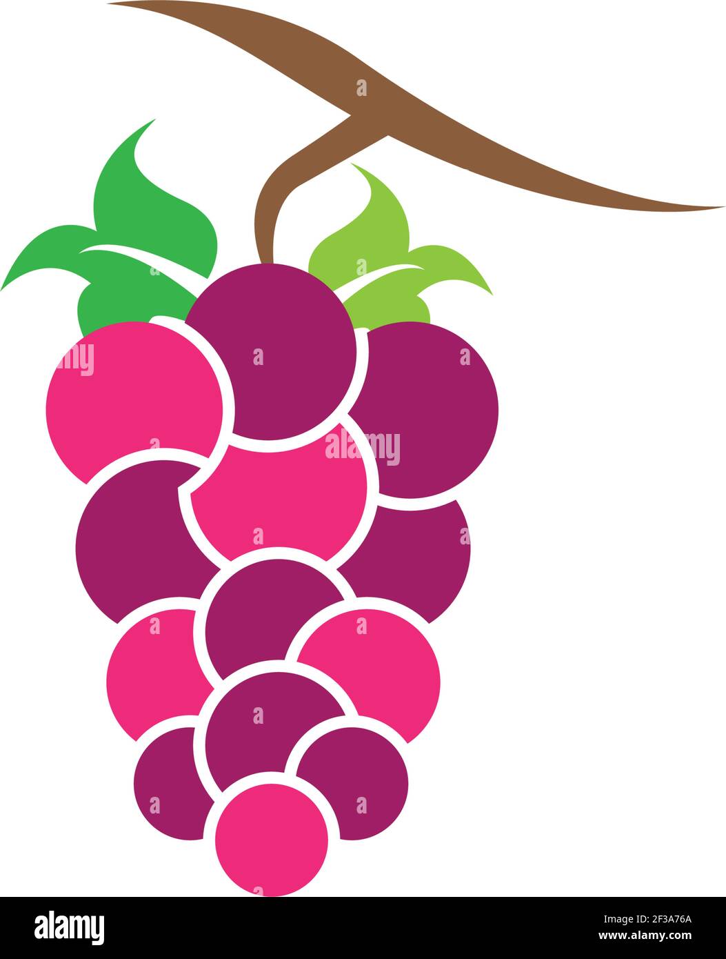 Vitis vector vectors hi-res stock photography and images - Alamy