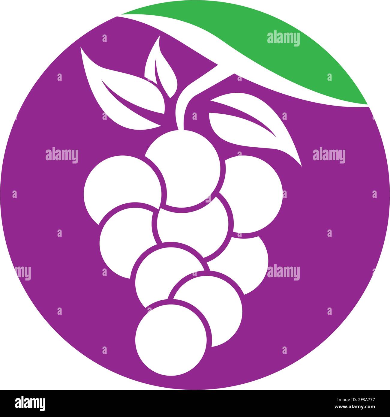 Vitis vector vectors hi-res stock photography and images - Alamy