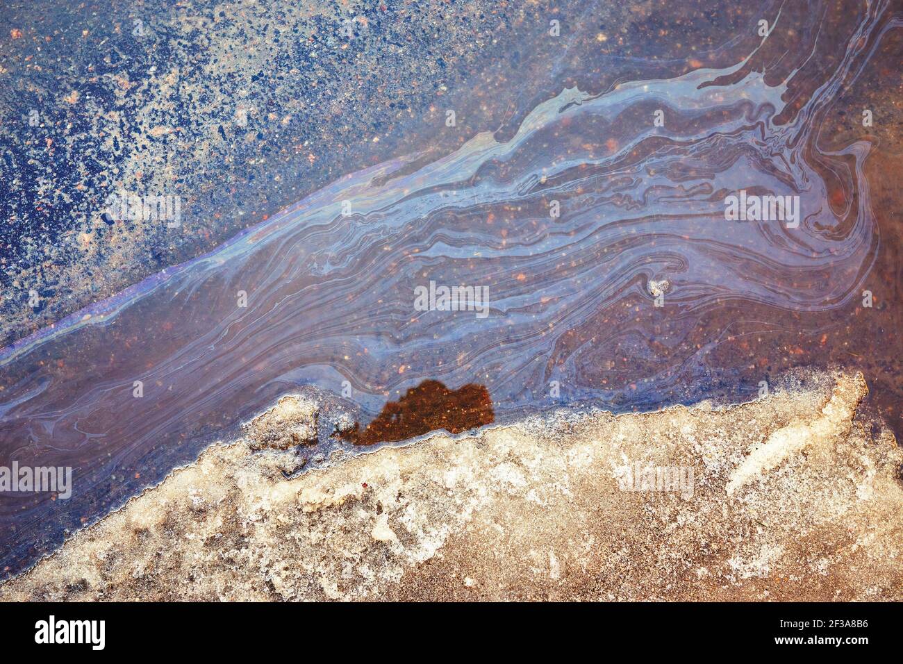 Oil slick and bird hi-res stock photography and images - Alamy