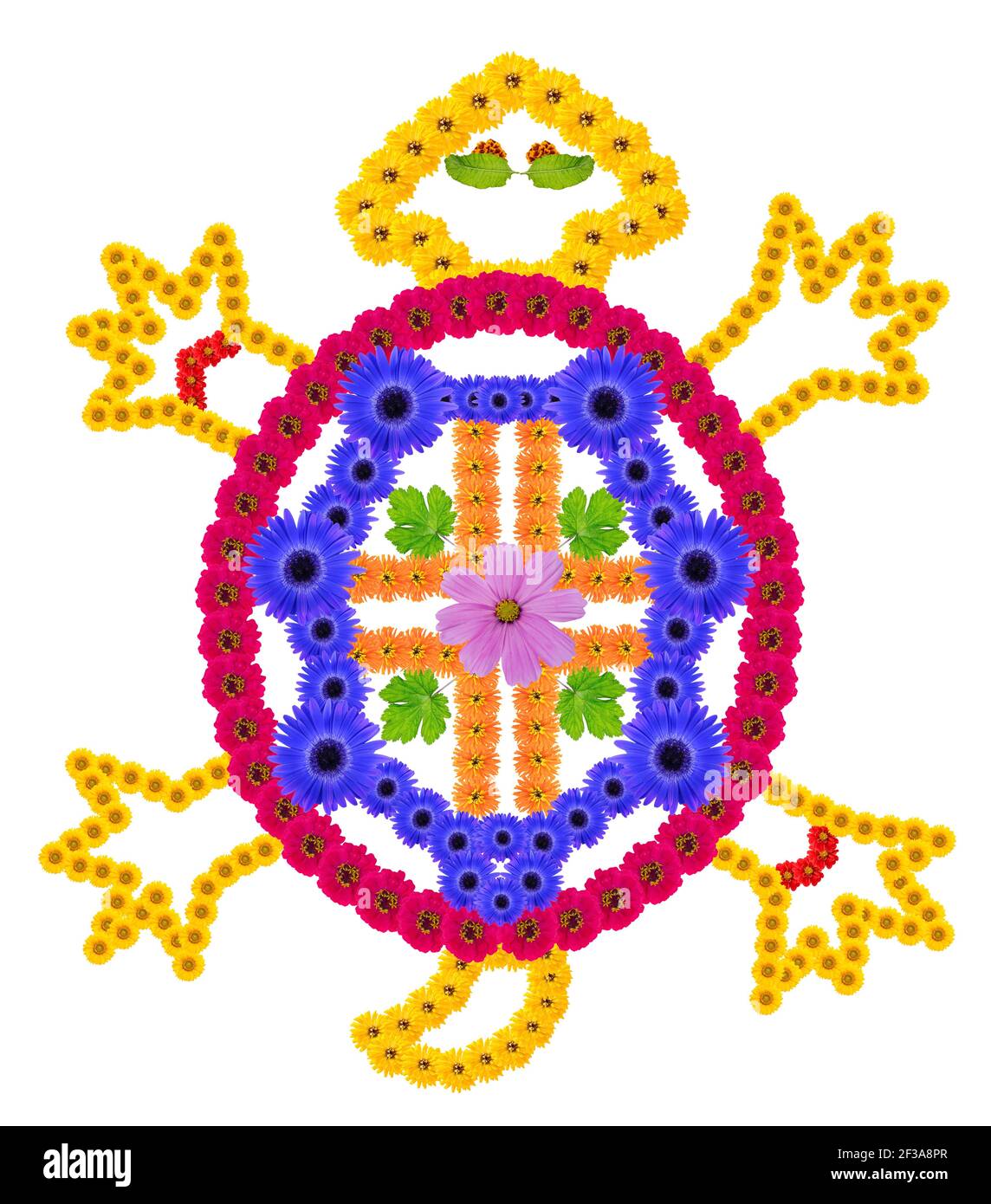 Native symbol- a turtle. that symbolizes adaptability, made from ...