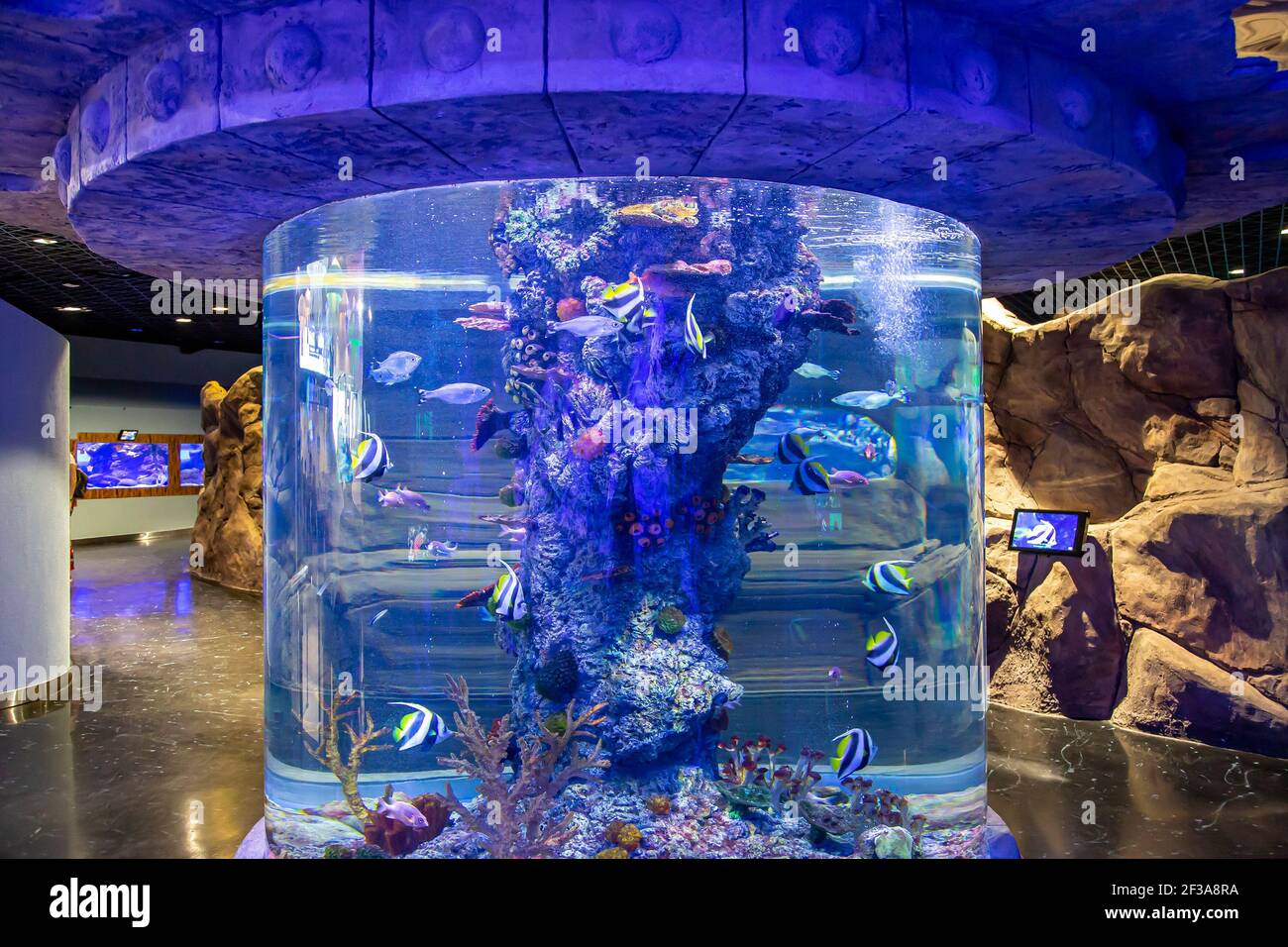 The interior of the Oceanarium Crocus City, over 5000 species of fish ...