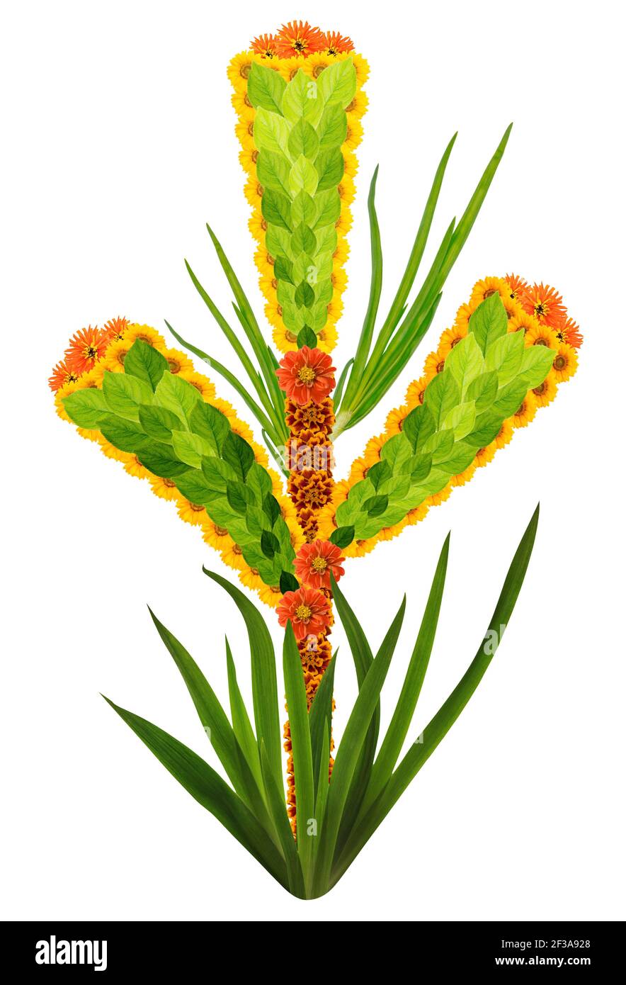 Native symbol of green ear of wheat made from flowers. Isolated ...