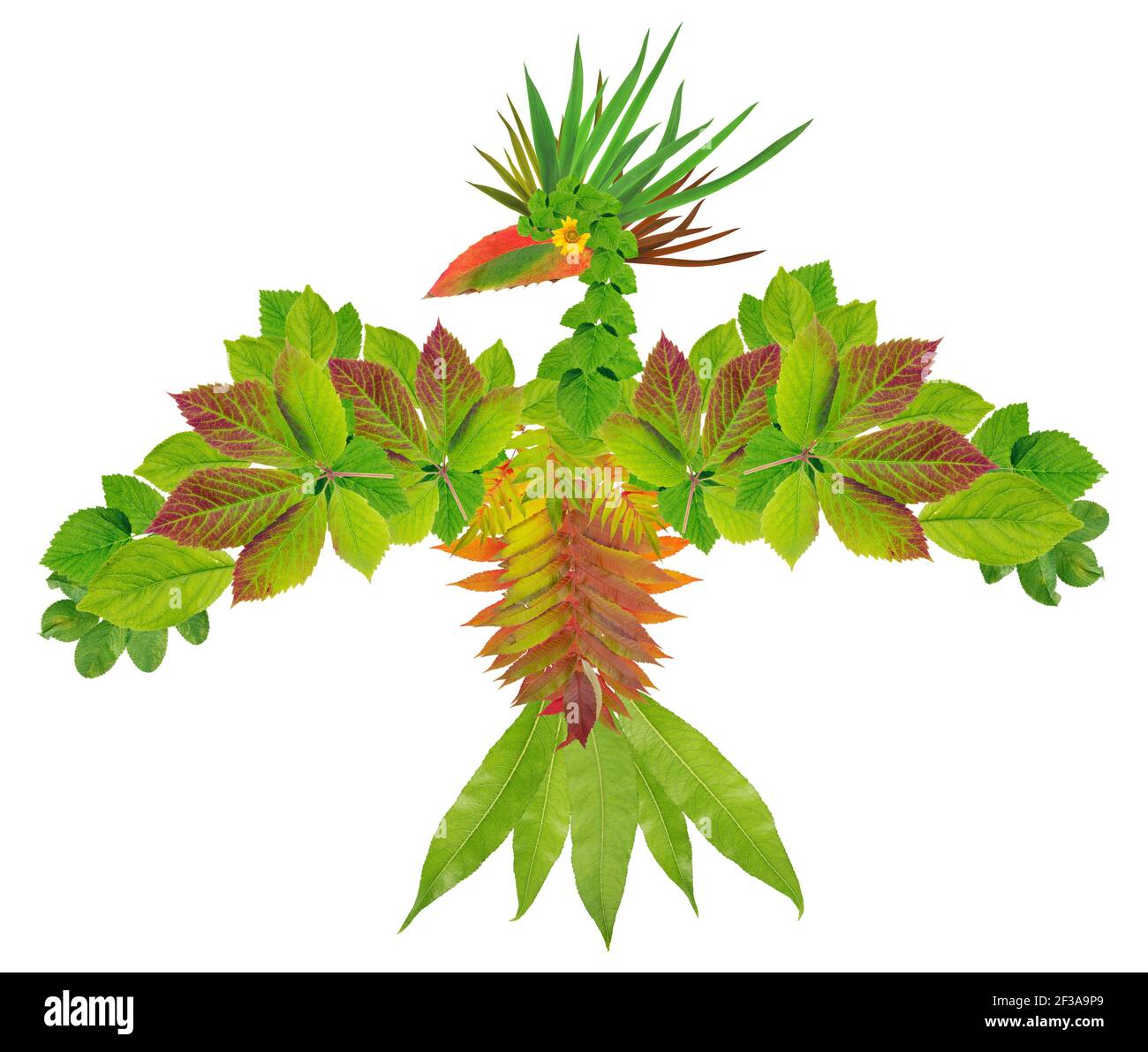 Native green eagle ancient symbol from leaves . Isolated on white ...