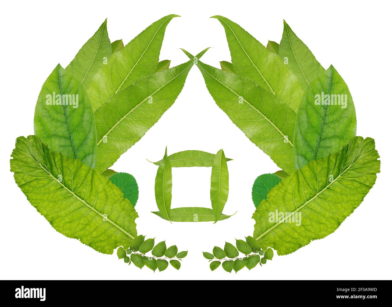 Green Hose concept made from leaves. Isolated on white photo collage ...