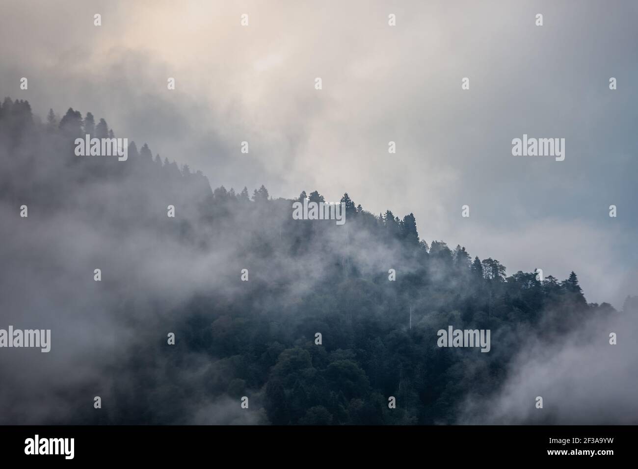 Firtina valley in Rize Stock Photo - Alamy