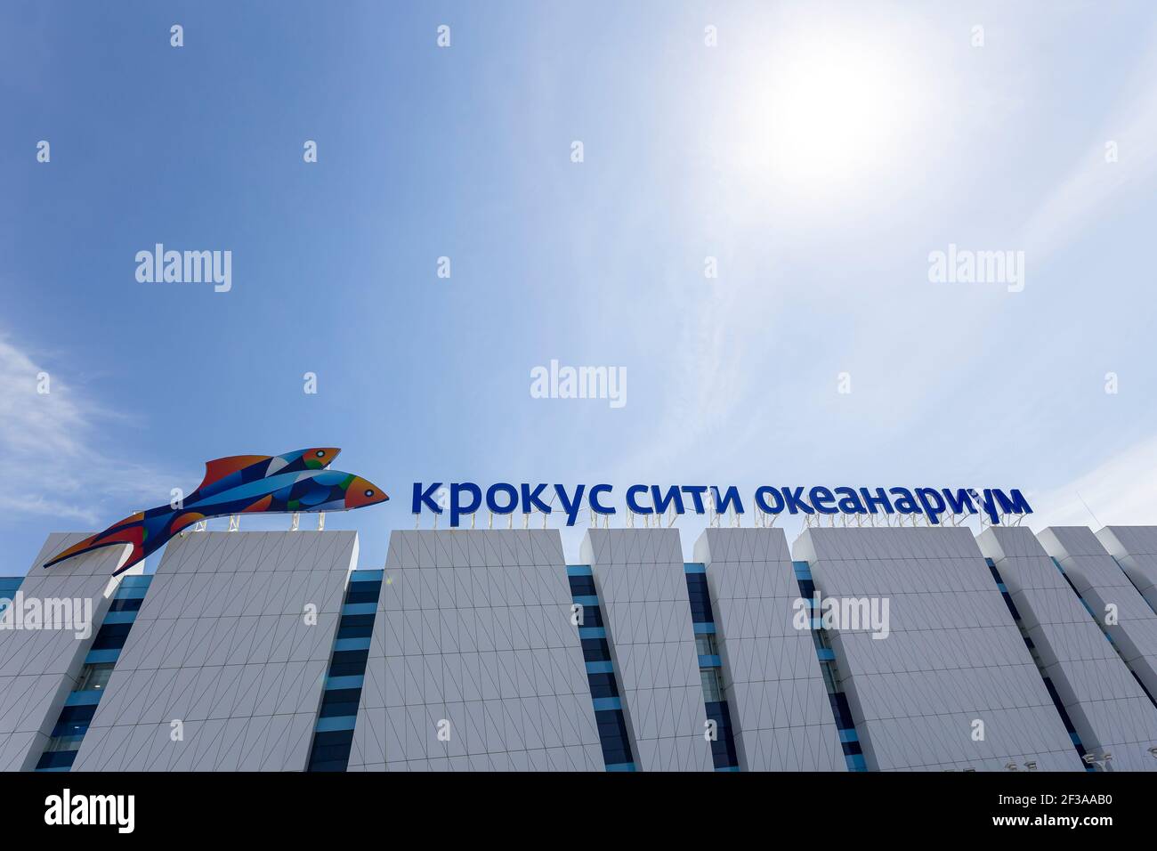 Oceanarium Crocus City, over 5000 species of fish and other animals ...