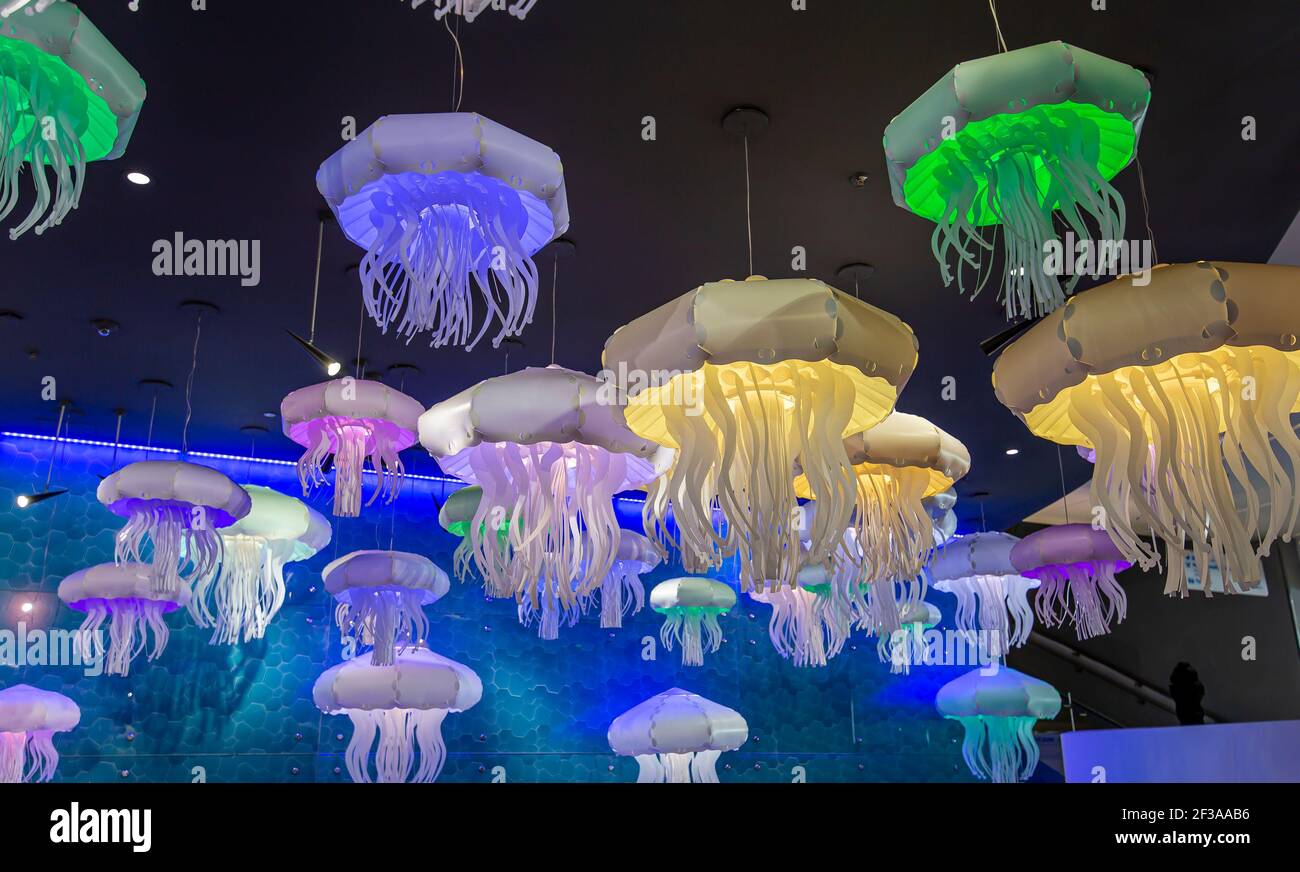 The interior of the Oceanarium Crocus City, over 5000 species of fish ...