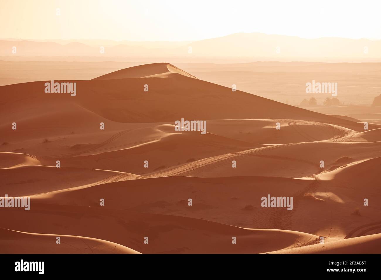 Endless Sands of the Sahara desert. Beautiful sunset over sand dunes of ...