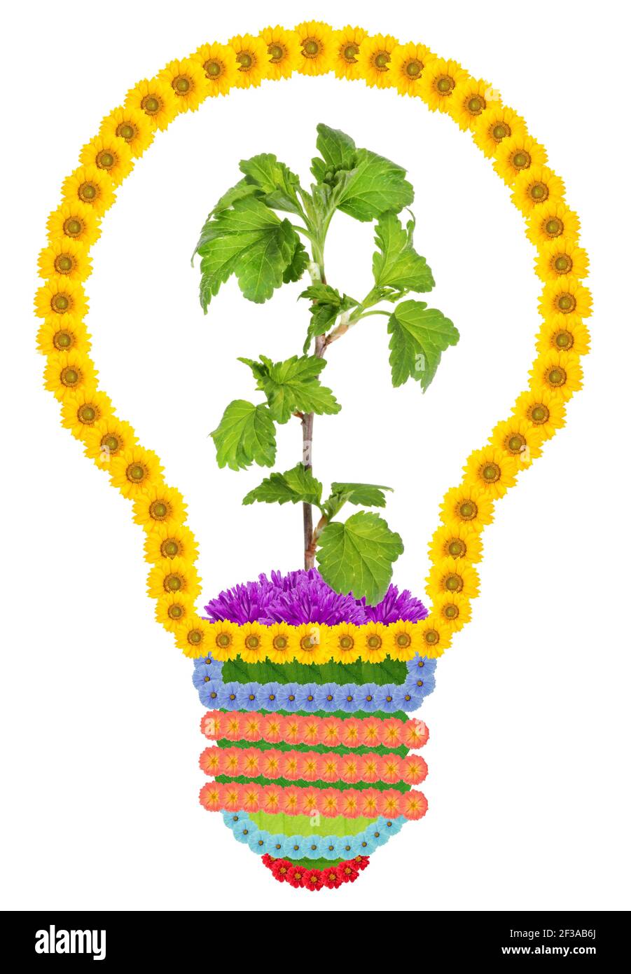 Environmental eco light bulb made from flowers and leaves. Isolated ...