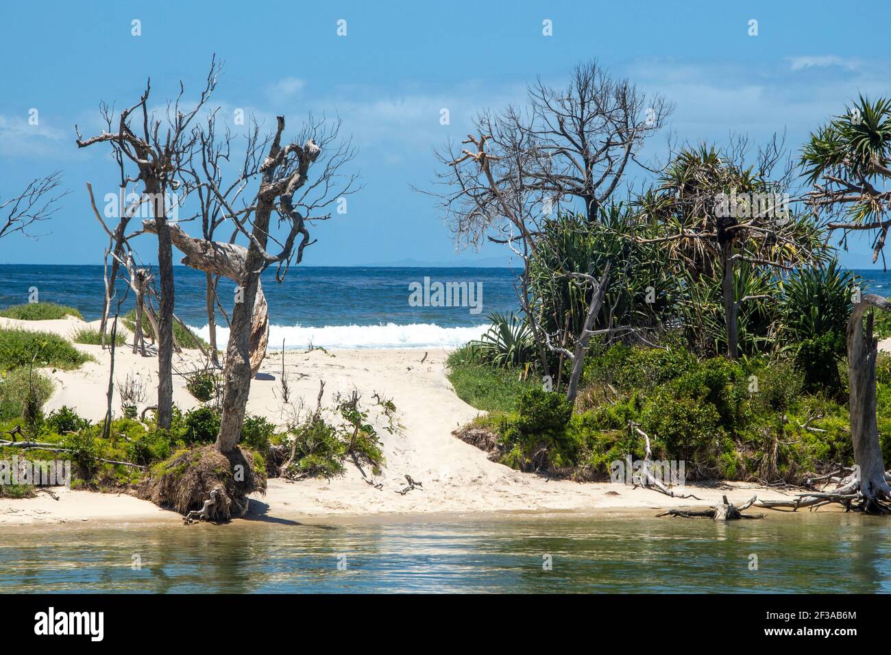 Bribie island hi-res stock photography and images - Alamy