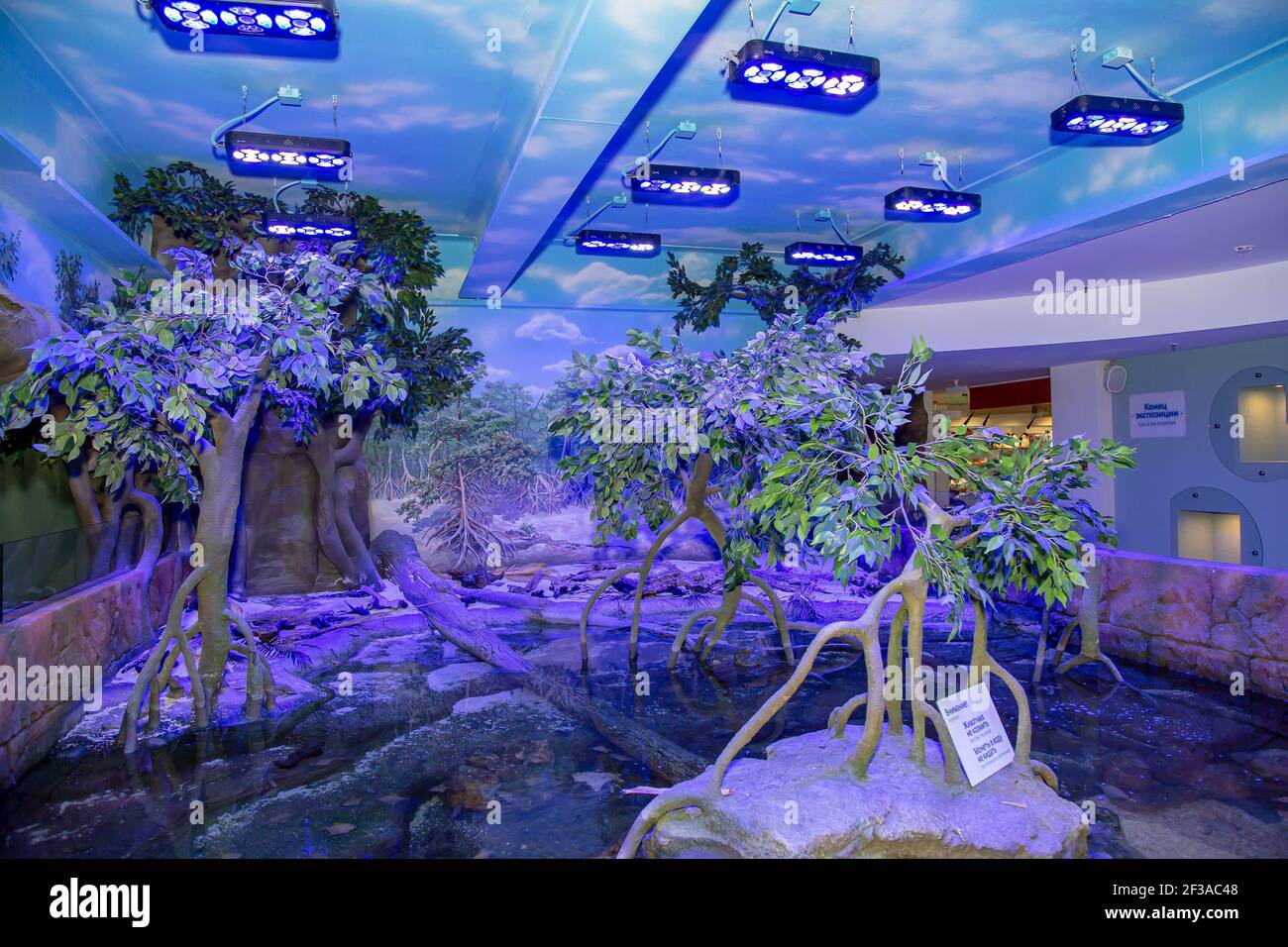 The interior of the Oceanarium Crocus City, over 5000 species of fish ...